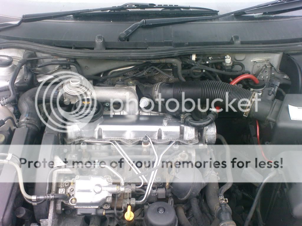 clean engine bay + the gunk from the elephant mod shocker! (with pics ...